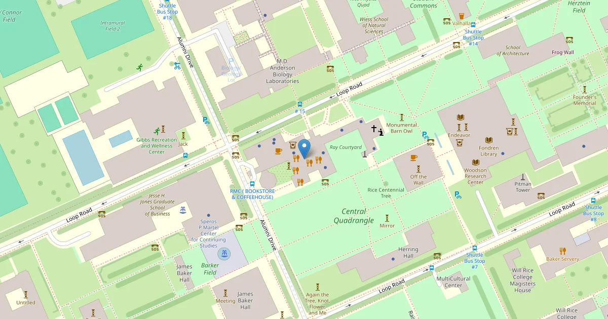 Rice University in Houston: Overview, Rankings, Tuition Fee & Programs